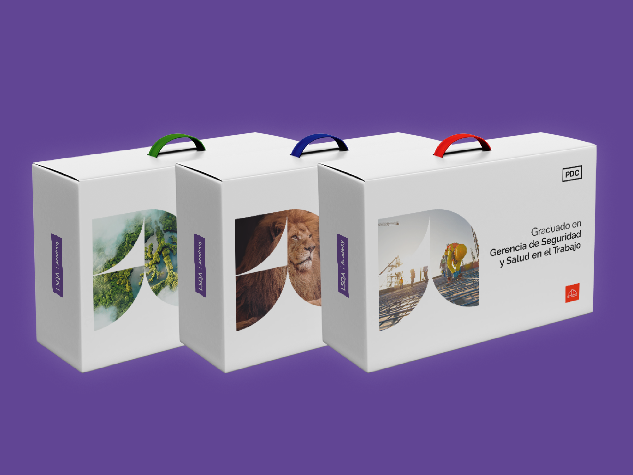 Bienvenida - LSQA Academy