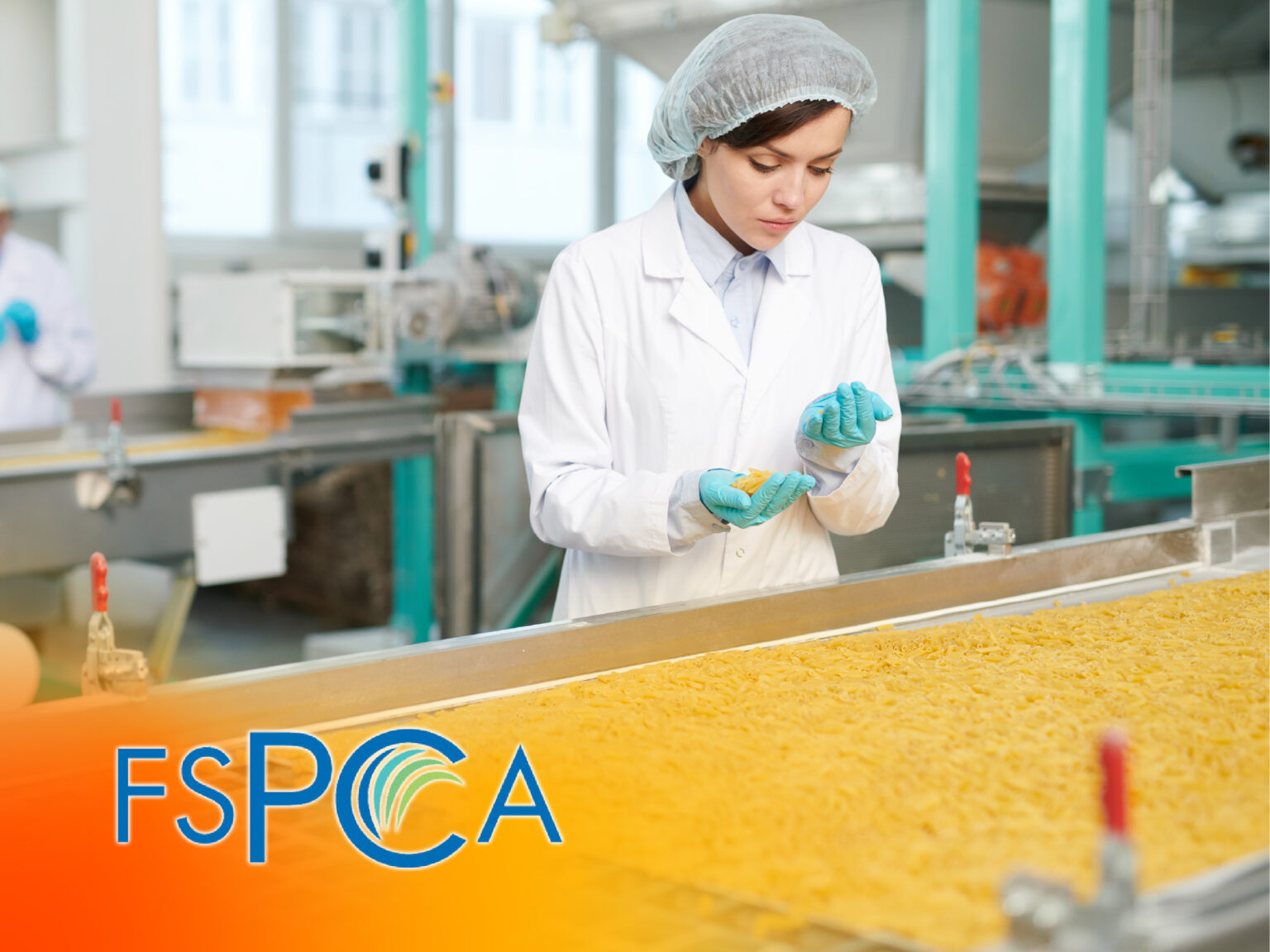 Cursos online - LSQA Academy